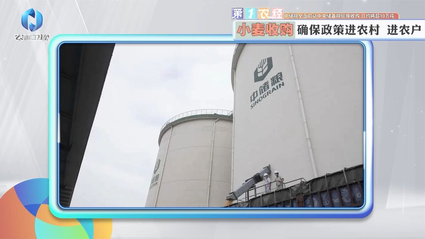 【农经资讯】中储粮全面启动中央储备粮轮换收购 日均将超10万吨