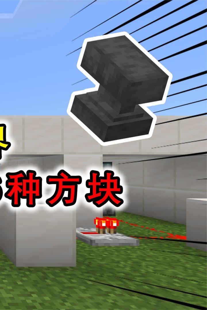 我的世界:盘点MC有哪些方块是活塞推不动的?第1需指令.