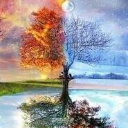 奈何花落流水无情 