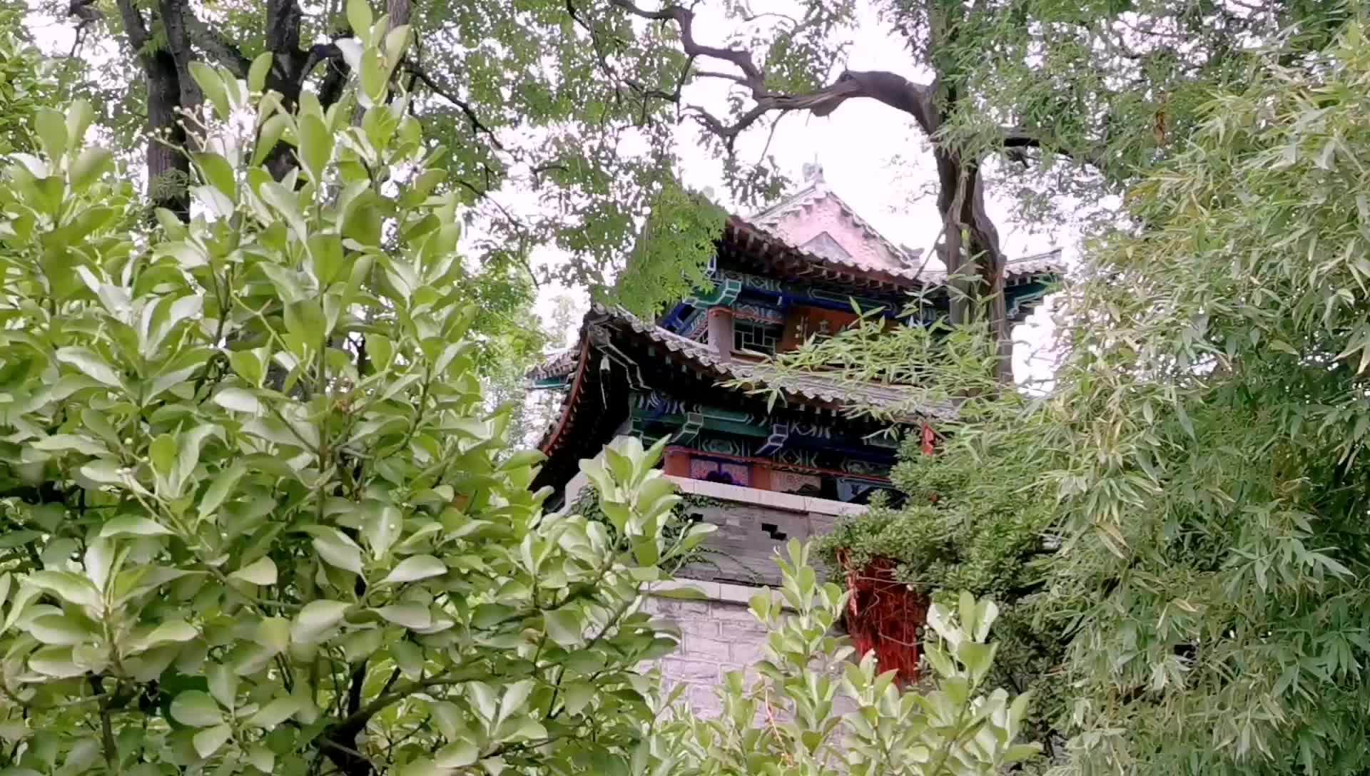 皇上,你还记得大明湖畔的夏雨荷吗?这句经典台词让大明湖家喻户晓