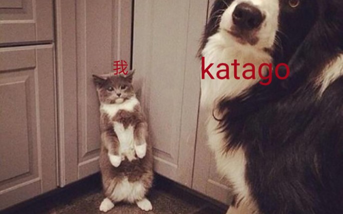 (被)让三子,但还是被暴打(与katago的对弈)