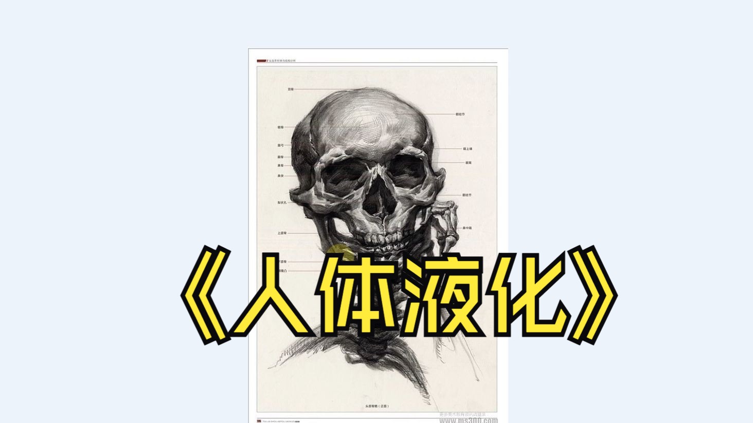 人体液化