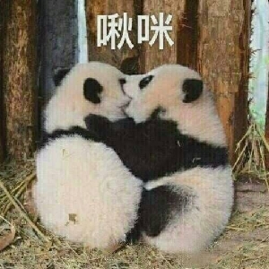 势必考上南工大 