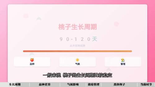 从开花到甜蜜蜜!揭秘桃子成熟的神奇时间之旅