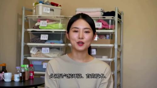 从种子到杯子:手把手教你种出香醇咖啡豆