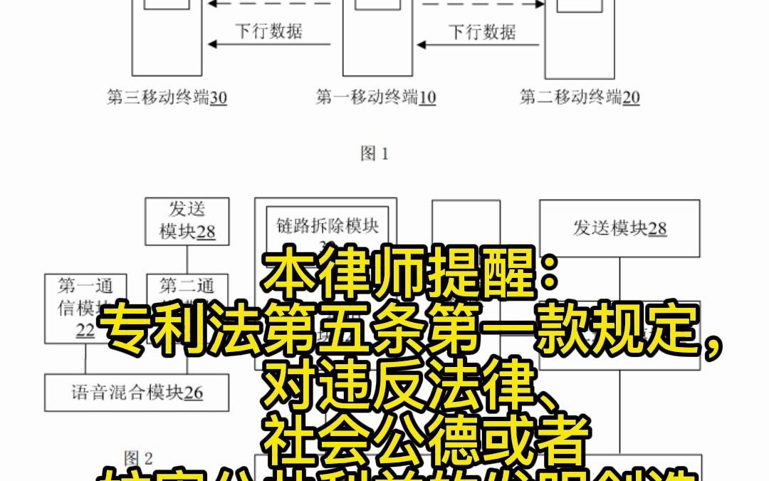 妨害共同利益的技术方案不能授予专利权