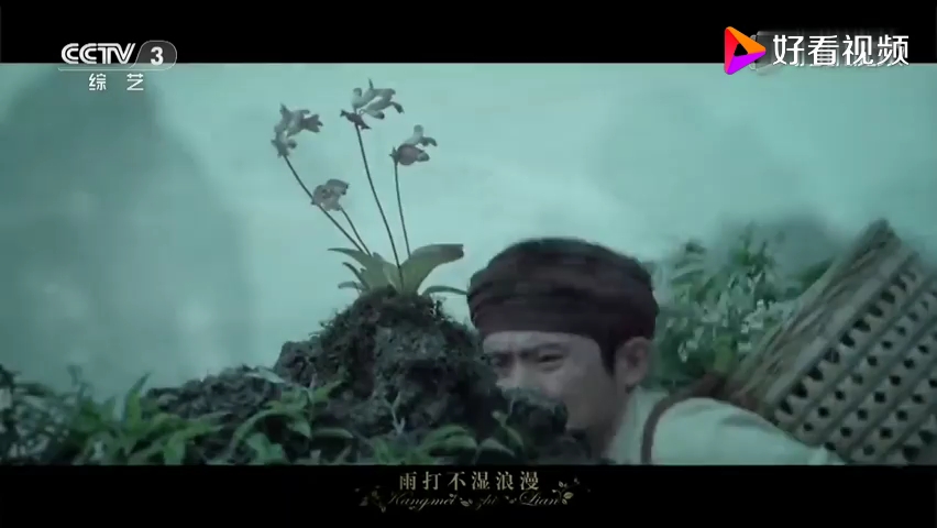 康美药业宣传片,简直美爆了