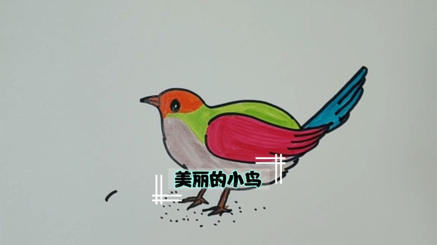 儿童入门简笔画小鸟的画法教程视频,宝宝学画画