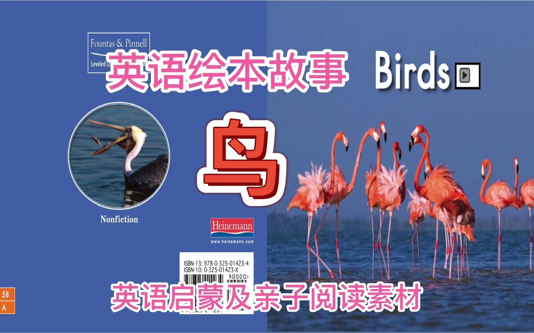 英语绘本故事《Birds》
