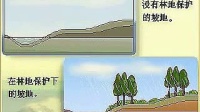 森林的作用