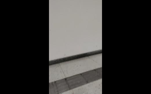 【筒隐月子喵喵】我看到的深圳无障碍 第一话