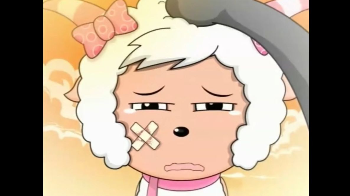 《喜羊羊与灰太狼》-美羊羊的生日