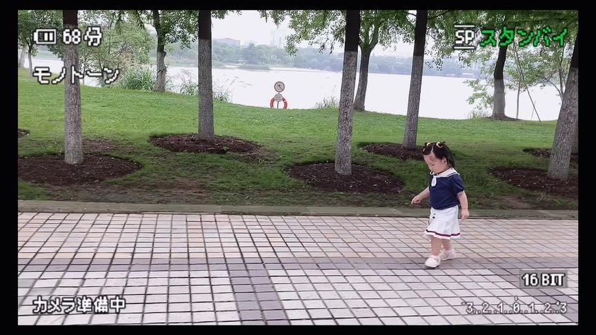 看这小马步,今天微信运动能上排行榜了#小日常 #生活vlog