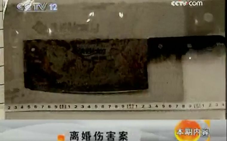2009年《庭审现场》-离婚伤害案