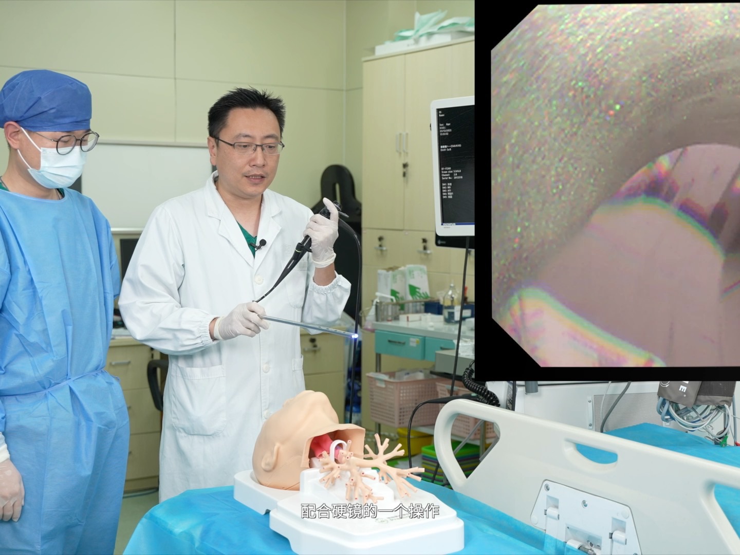 硬质支气管镜模型介绍