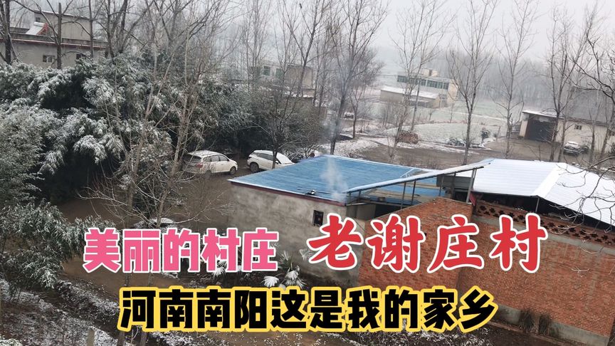 河南一个偏远乡村的宣传片,她就是我美丽的家乡,毕店镇老谢庄村