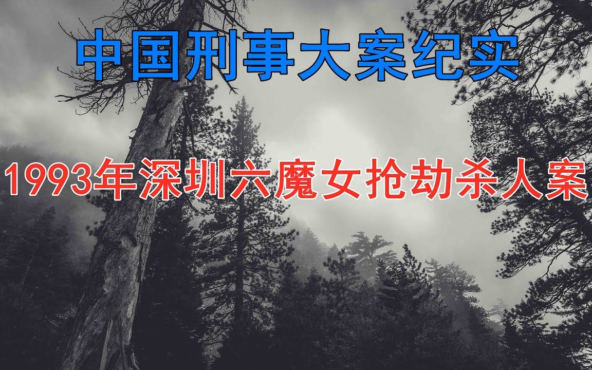 1993年深圳六魔女抢劫杀人案 - 中国刑事大案纪实 - 刑事案件要案记录