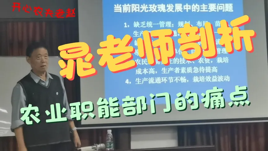 晁老师剖析农业职能部门的痛点,如何做好三农服务?改革势在必行