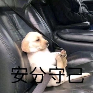 大头你不要再吃了 