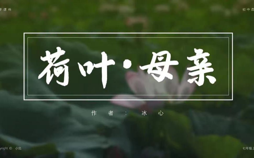 长这样的《荷叶.母亲》课件,可不多见!