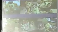 蔬果造型 毕莹(浙江省小学美术优质课案例)教学实录 课堂实录 示范课