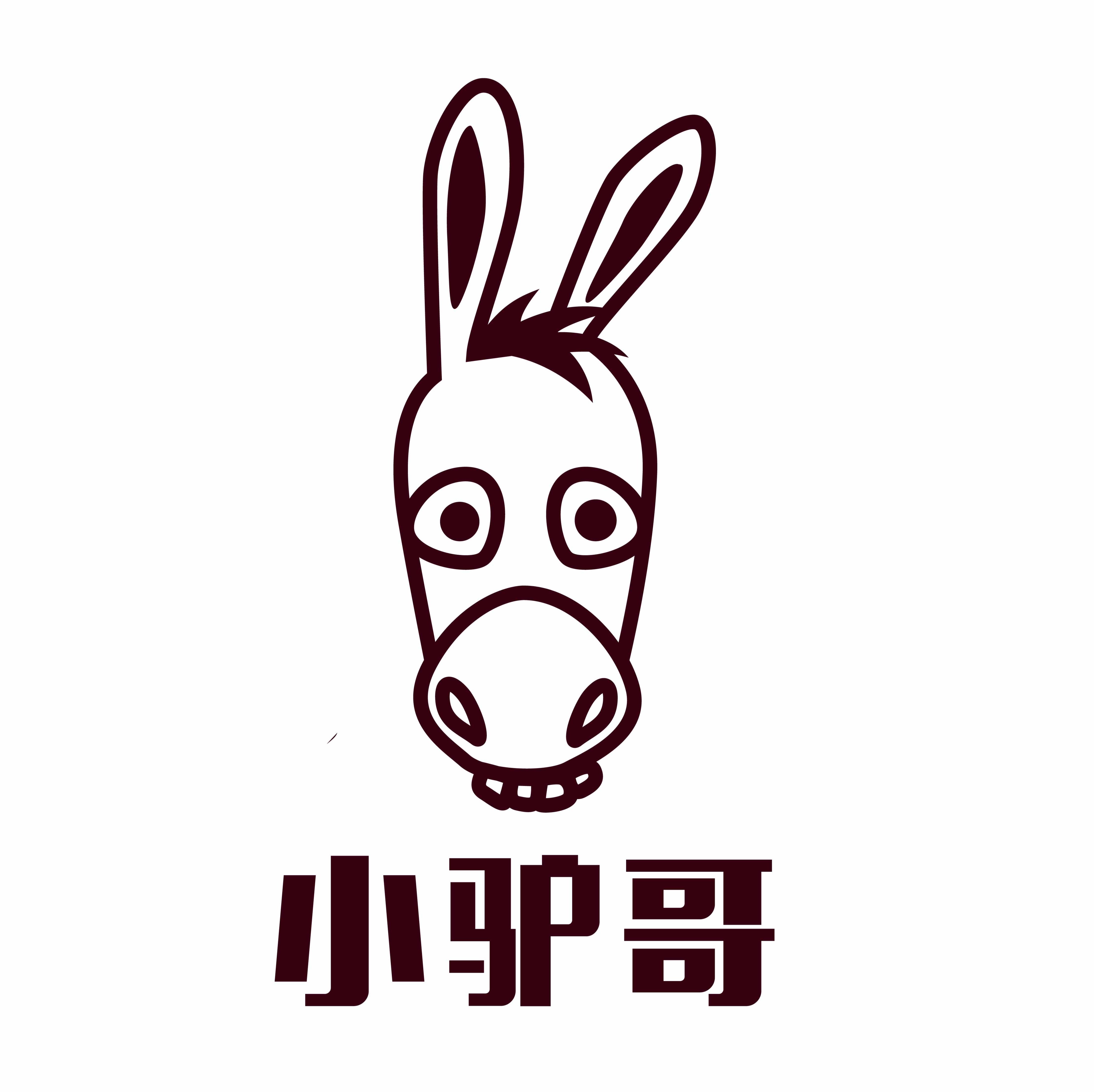 小驴看世界 