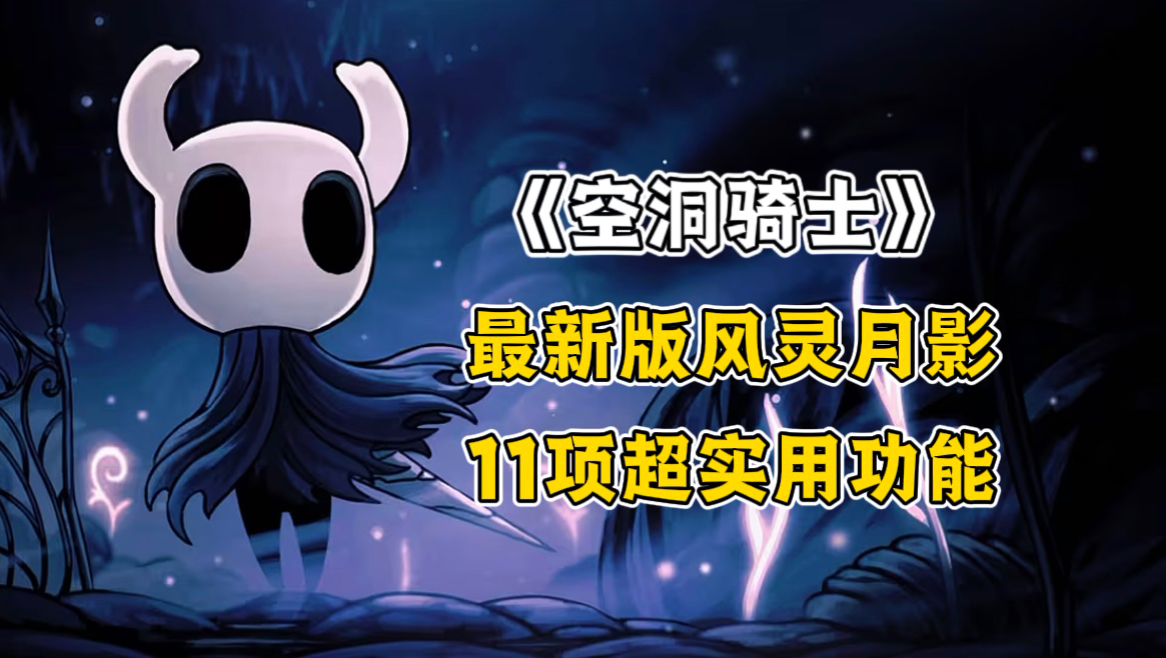 【空洞骑士】最新版风灵月影修改器!11项功能,打开即用!无限生命、...