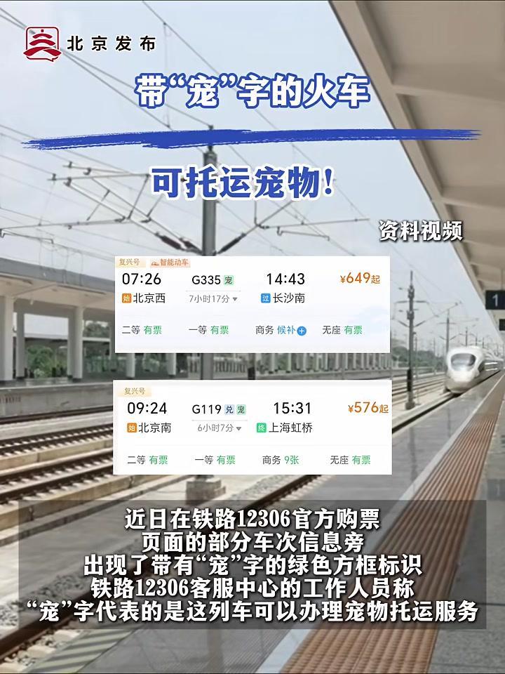 带“宠”字的火车,可托运宠物!