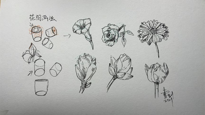 花怎么画?钢笔画风景速写,植物系列技法学习