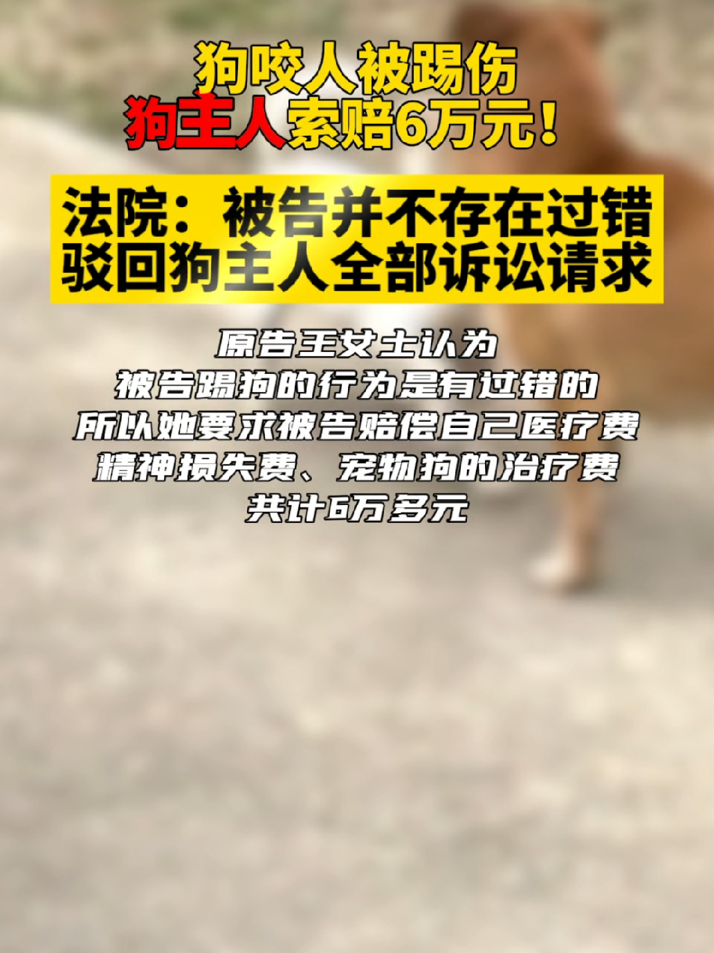 狗咬人被踢伤,狗主人索赔6万元!法院判了