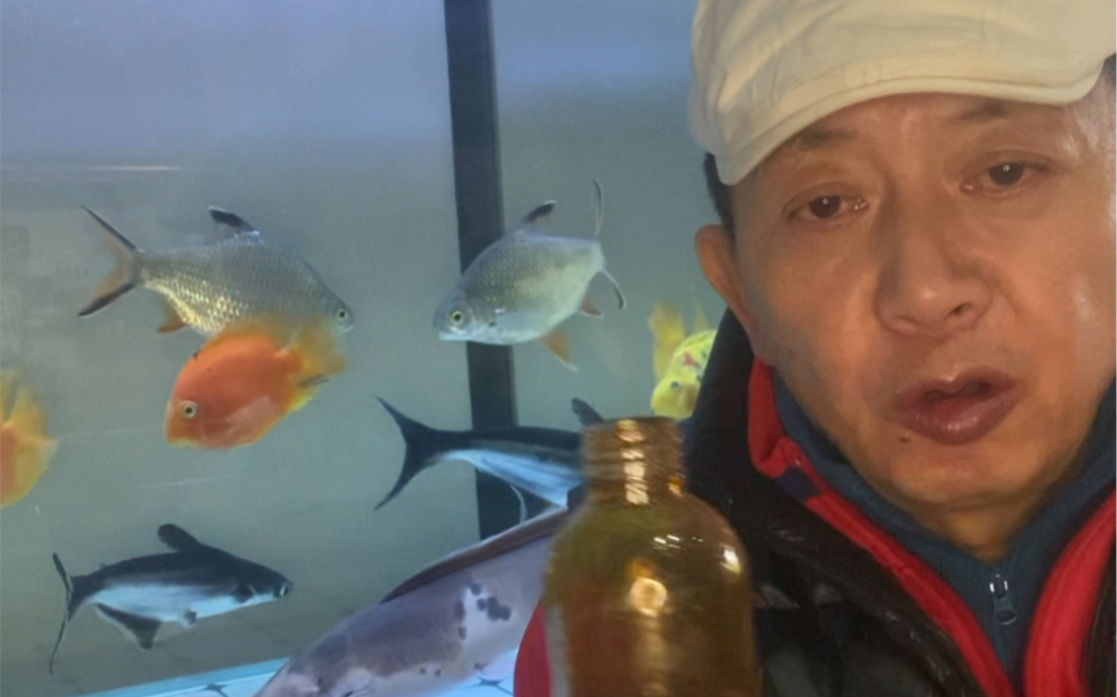 秋梨膏和白雪膏的用法。