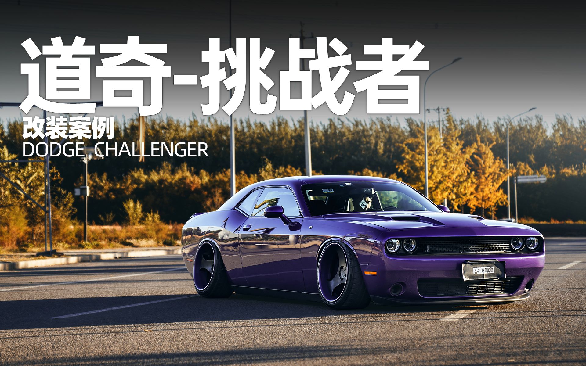 紫色小马!最不“肌肉”的道奇挑战者【改装案例】