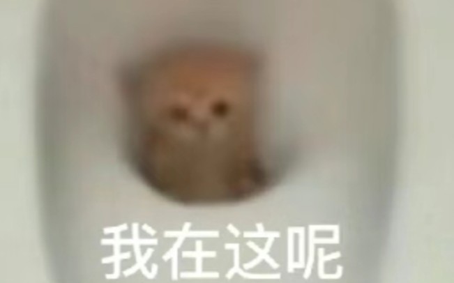 u盘显示写保护怎么办