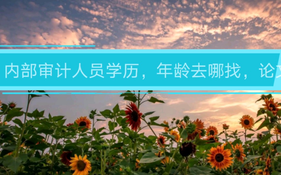 内部审计人员人数,学历怎么找,论文急需