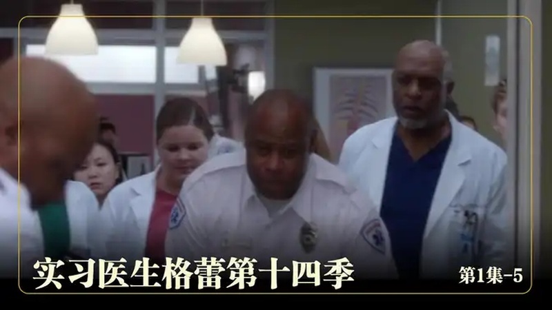 实习医生格蕾第十四季:急诊室生死时速,你敢看吗?(5)