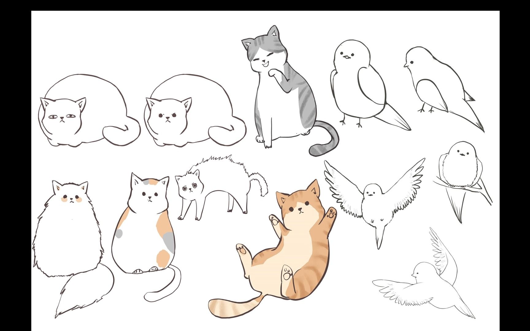 Q版小动物画法2(猫 小鸟)