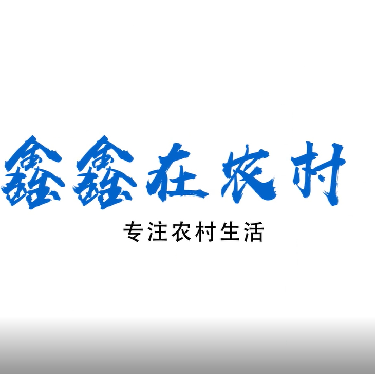 鑫鑫在农村 