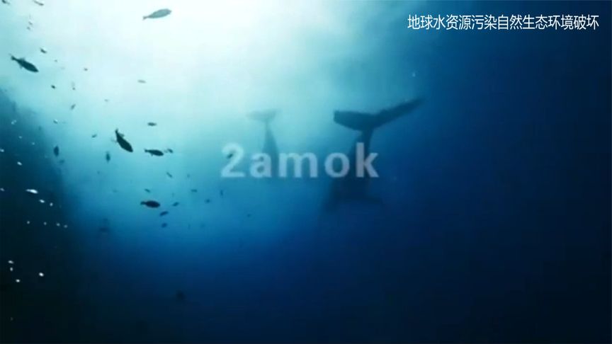地球水资源污染自然生态环境破坏—宣传片