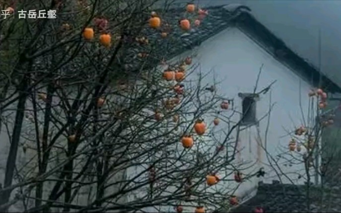 现代国家的定义是政教分离的“世俗化”