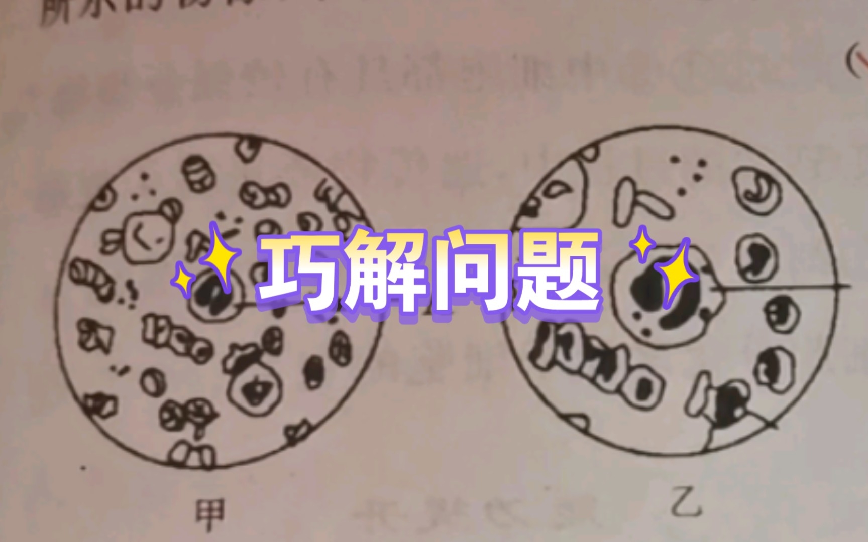 解题技巧～物像放大,需要对显微镜做哪些操作呢?～生物学