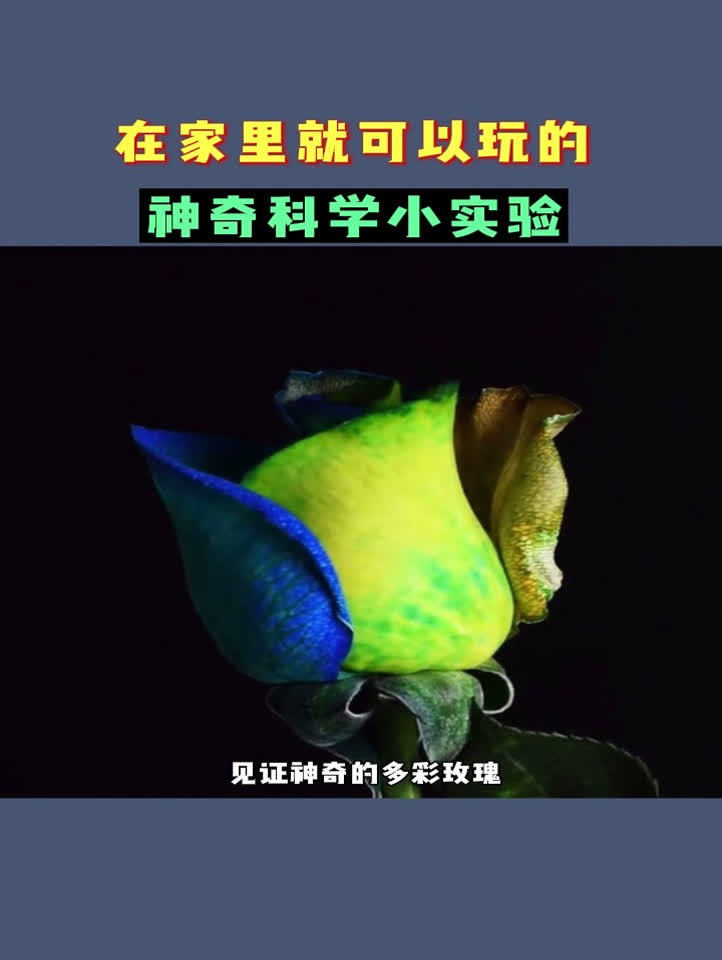 科学实验 老师看了都会夸你的科学小实验