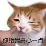 三三不得鸠 