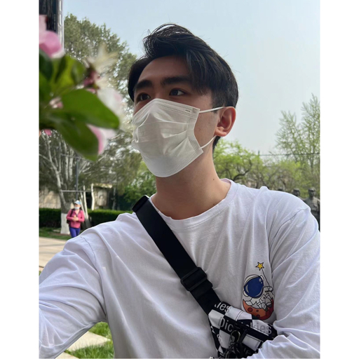 奶油味任天堂 