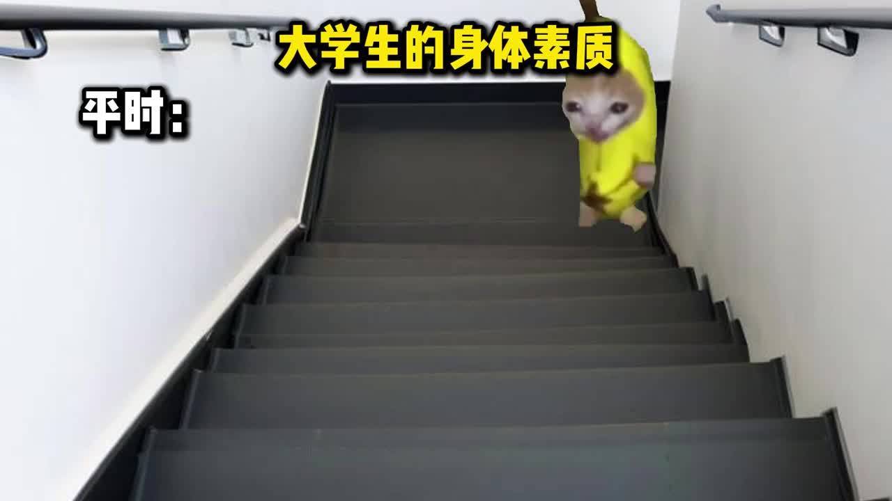 大学生身体素质堪忧,体能测试数据下滑,引发社会广泛关注