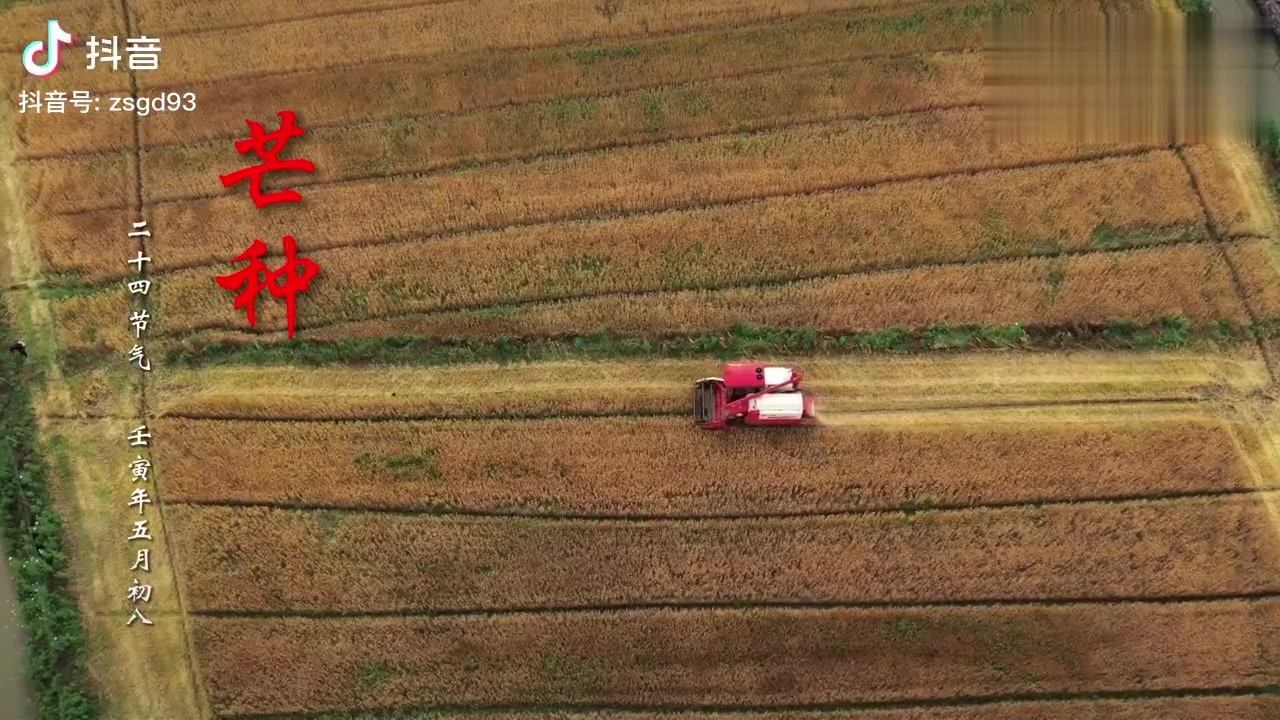 二十四节气之芒种