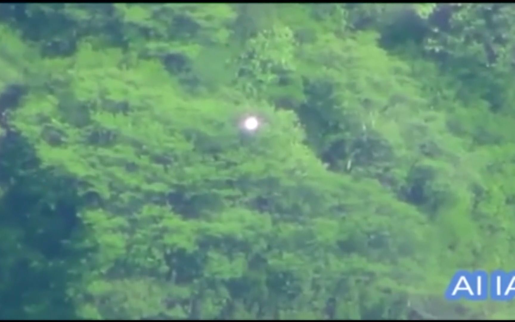 2017年墨西哥瓜达拉哈拉森林中发光的不明光球飞行物orb