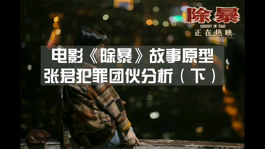 【林隐说大案】90年代大案启示录丨电影《除暴》背后的真实罪案:...
