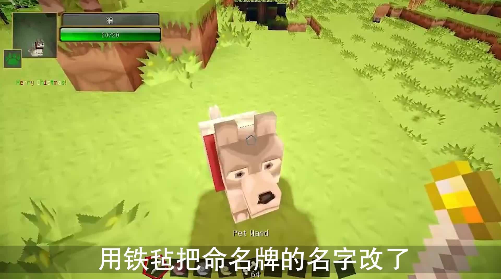 我的世界家园宠物怎么改名