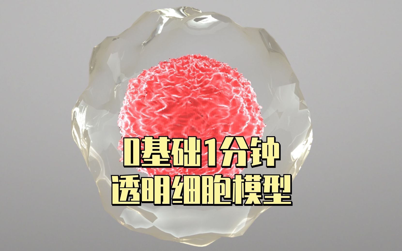 1分钟透明细胞模型教程,超简单,0基础上手没难度!