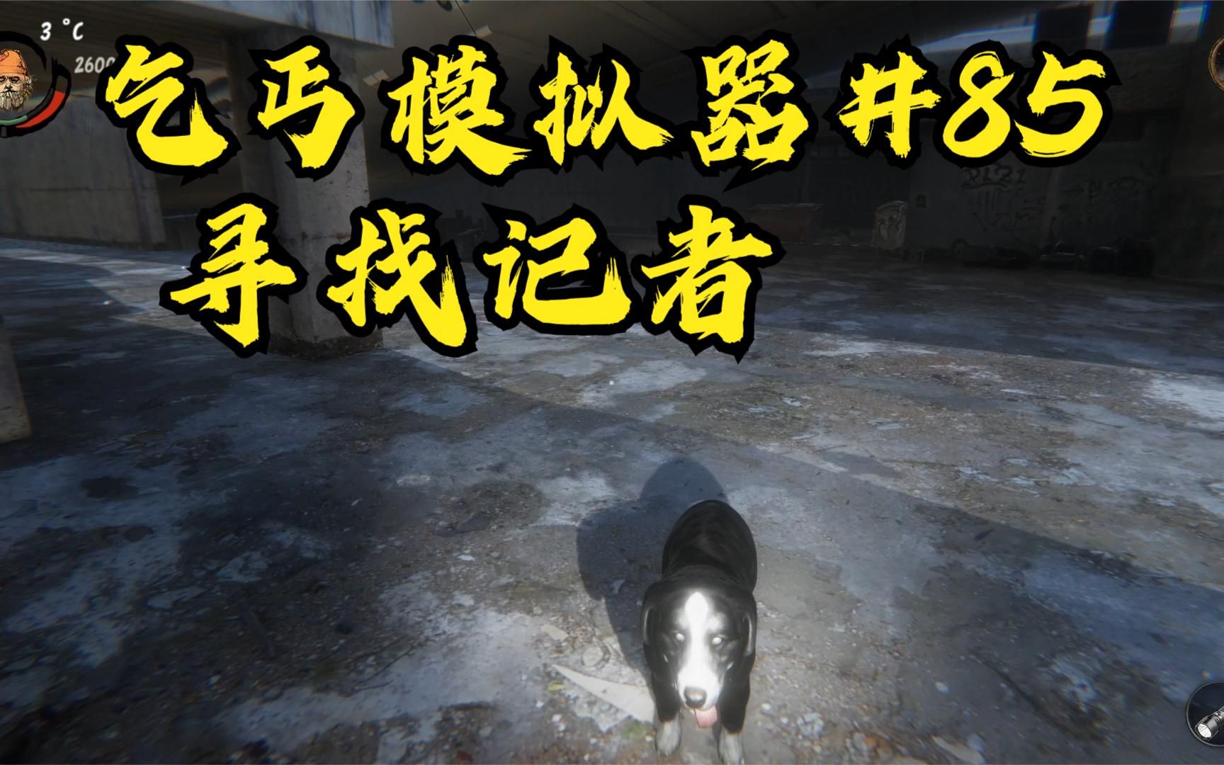 【石头】乞丐模拟器第八十五期:寻找记者_实况